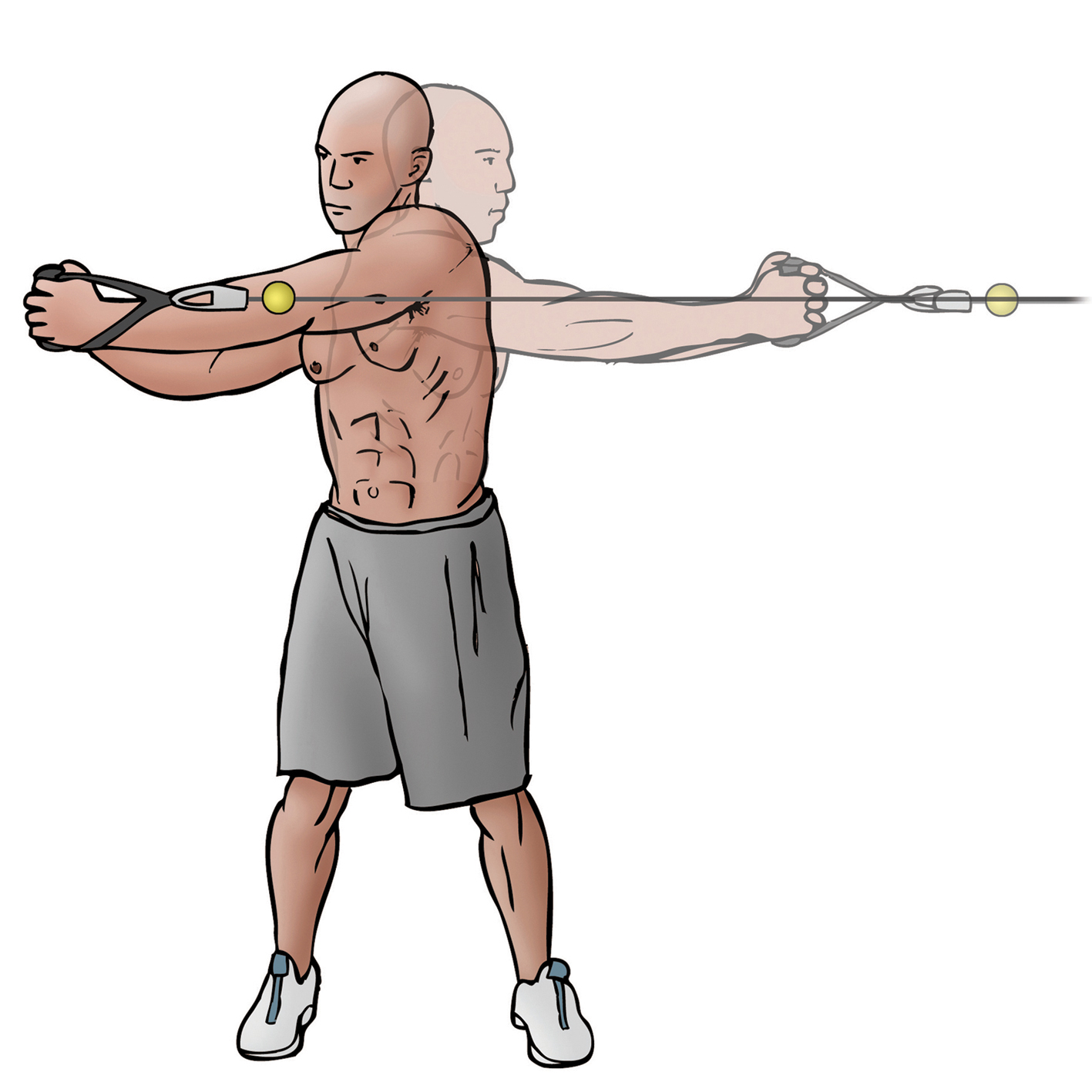 Sports Injury Bulletin - Anatomy - Golf: a gentle game that leads to pain