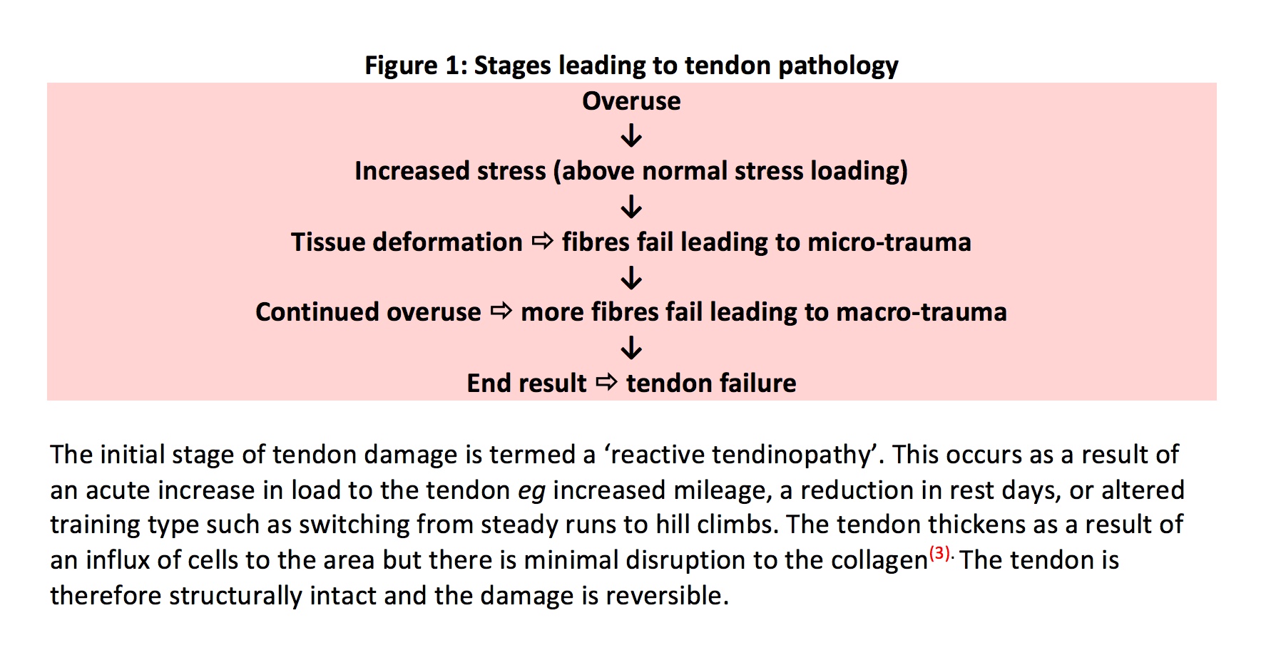 Sports Injury Bulletin - Diagnose & Treat - Tendinopathy: new thinking ...