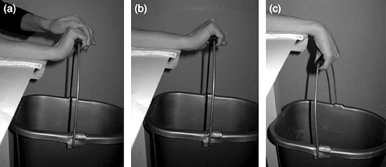 Sports Injury Bulletin - Anatomy - Lateral epicondylitis: assessment ...
