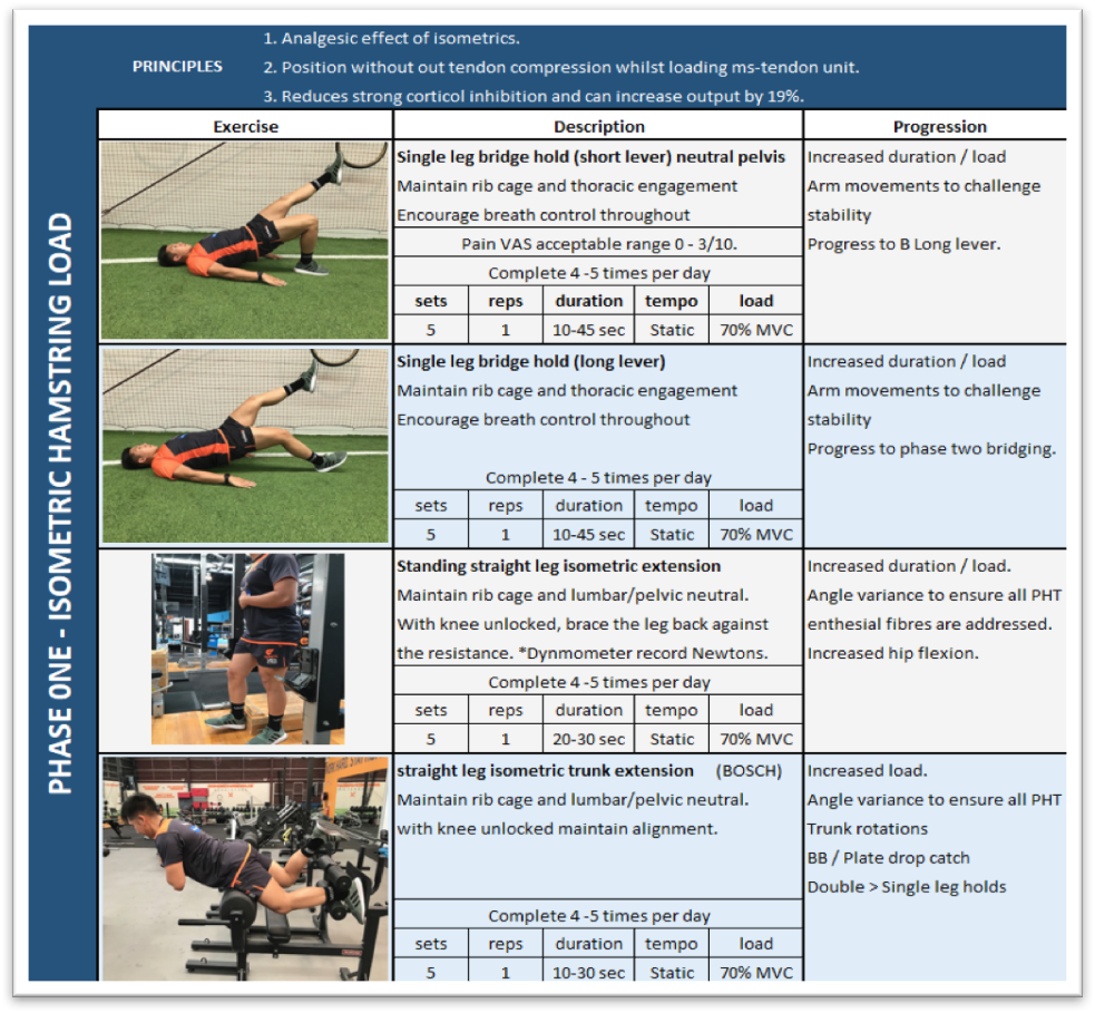 Sports Injury Bulletin - Anatomy - Proximal Hamstring Tendinopathy: A ...