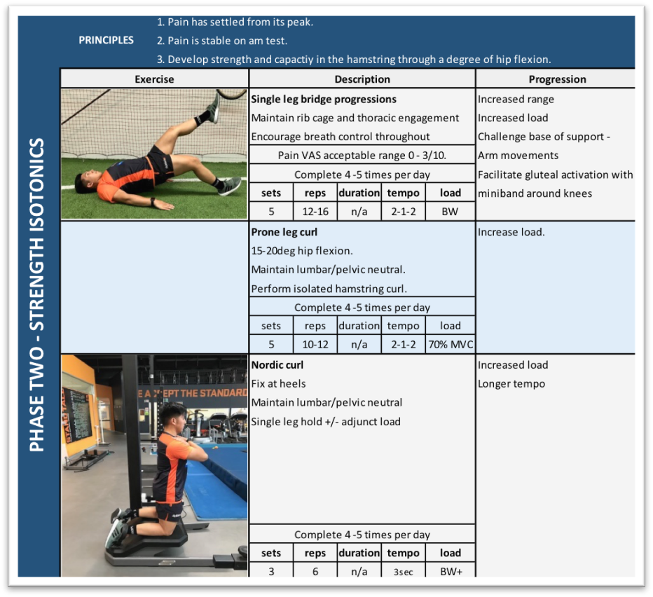 Sports Injury Bulletin - Anatomy - Proximal Hamstring Tendinopathy: A ...