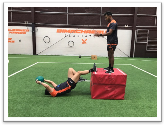 Sports Injury Bulletin - Anatomy - Proximal Hamstring Tendinopathy: A ...