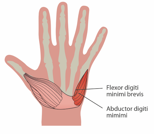 Sports Injury Bulletin - Diagnose & Treat - Get a grip!
