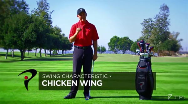 Sports Injury Bulletin - Anatomy - The modern golfer Part I: the ...