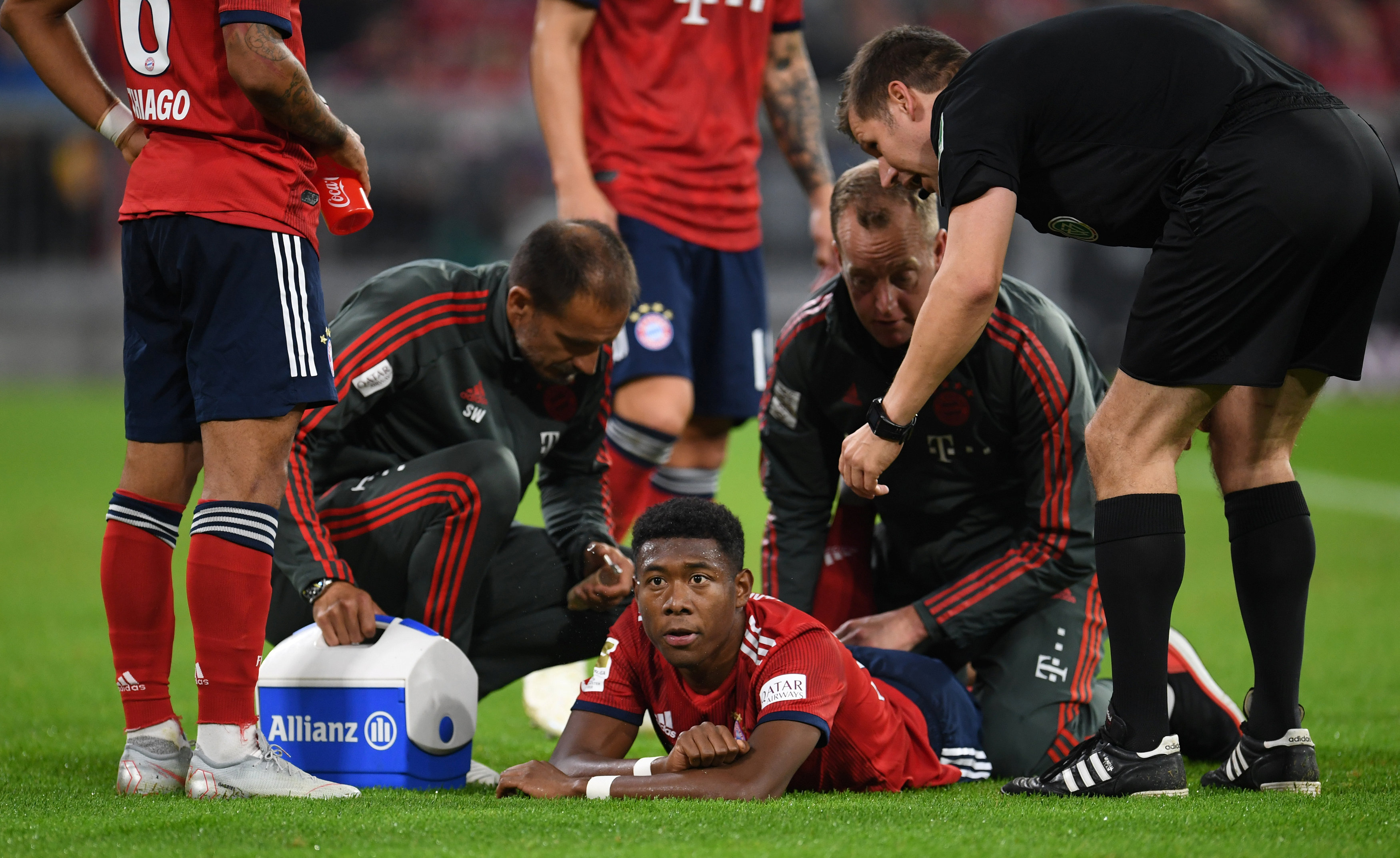 Sports Injury Bulletin - Anatomy - 11 factors that differentiate ...