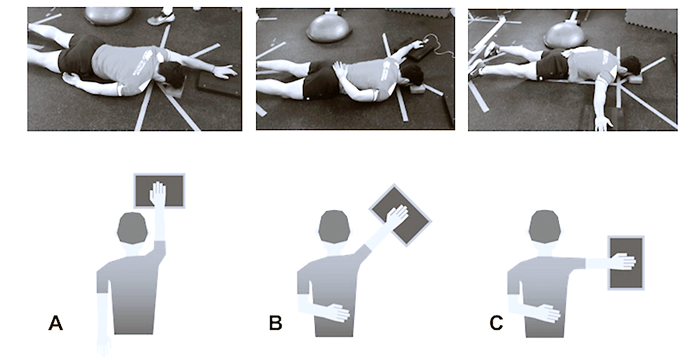 Sports Injury Bulletin - Anatomy - Shoulder instability: prevention for ...