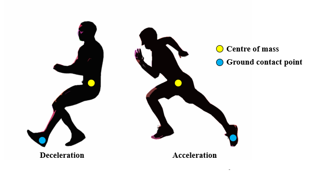 Sports Injury Bulletin - Anatomy - Demands of Sport: Part VI – mapping ...