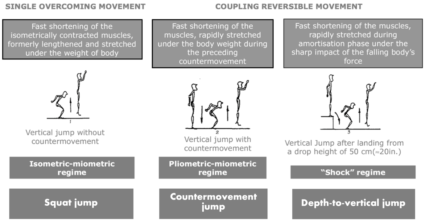 Sports Injury Bulletin - Diagnose & Treat - Demands of Sport: Part III ...