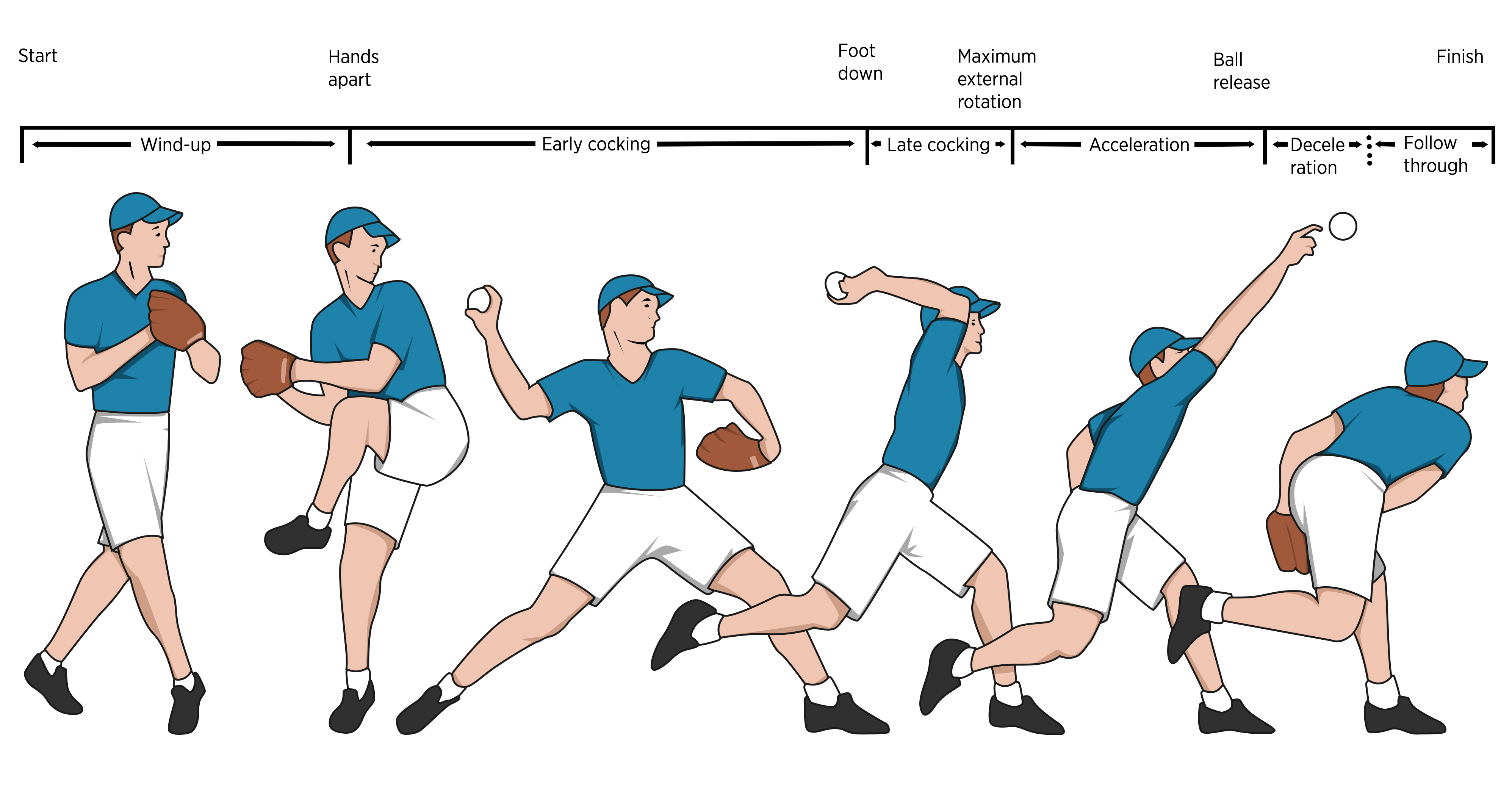 Sports Injury Bulletin - Diagnose & Treat - Little leaguer’s elbow: a ...