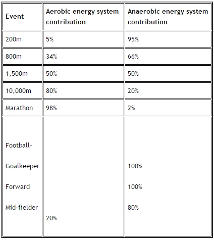 Sports Performance Bulletin - Training - The aerobic and anaerobic ...