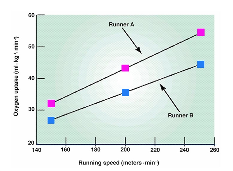 Sports Performance Bulletin - Training structure & planning - Mile ...