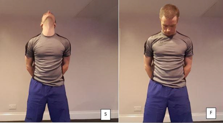 Sports Performance Bulletin - Muscles and tendons - Warm up for the ...