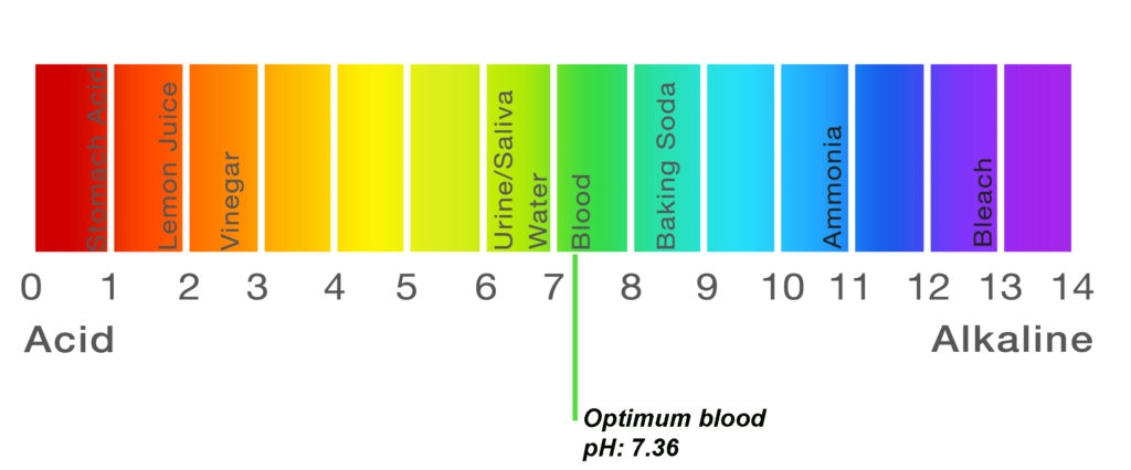 Sports Performance Bulletin - Dietary basics - Endurance nutrition ...