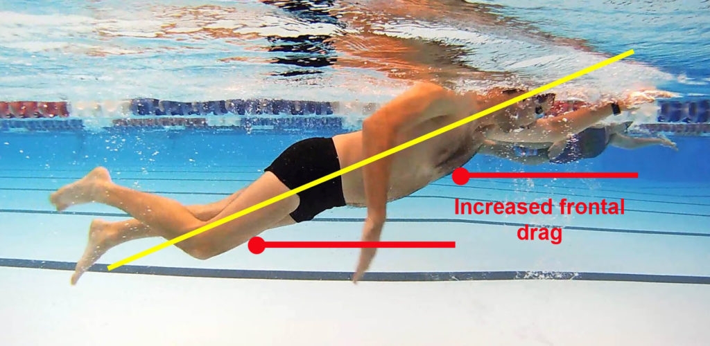 Sports Performance Bulletin - Training - Swimming technique: why core ...