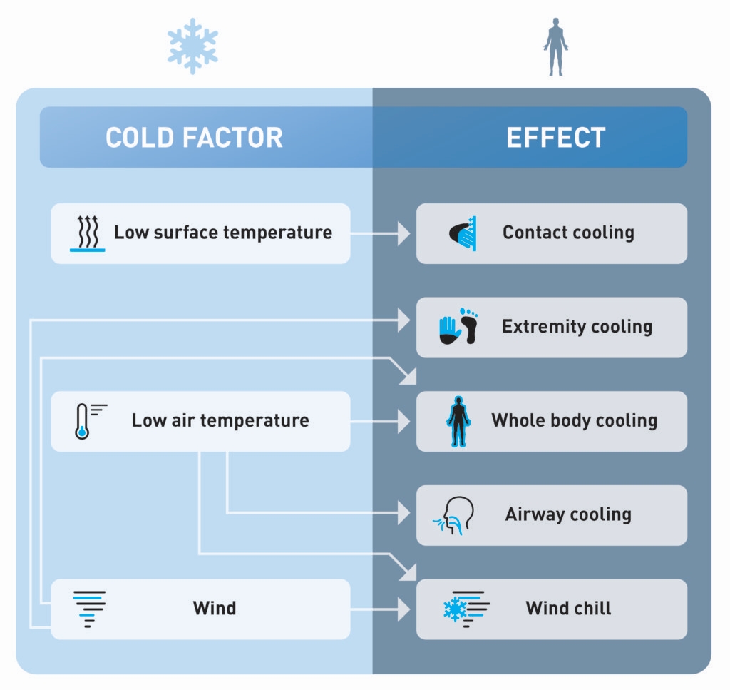 Sports Performance Bulletin - Endurance training - Cold war: time to ...
