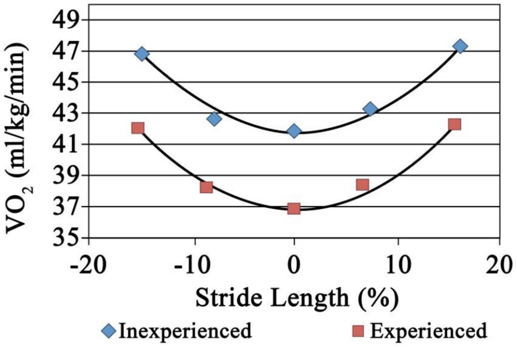 Sports Performance Bulletin - Training - Optimum stride length for ...