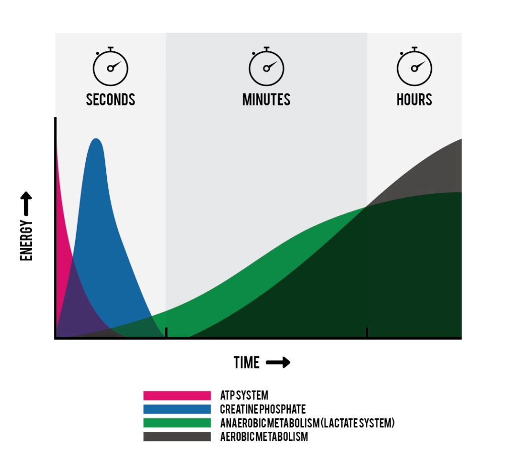 Sports Performance Bulletin - Training structure & planning - Training ...
