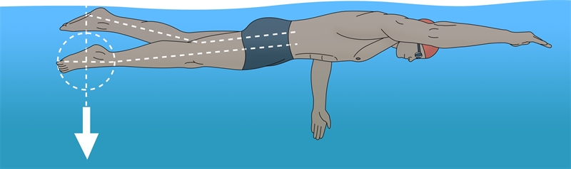 Sports Performance Bulletin - Training - Triathlon swimming: do you ...