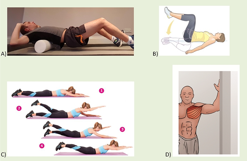 Sports Performance Bulletin - Overuse injuries - Rib injuries in ...