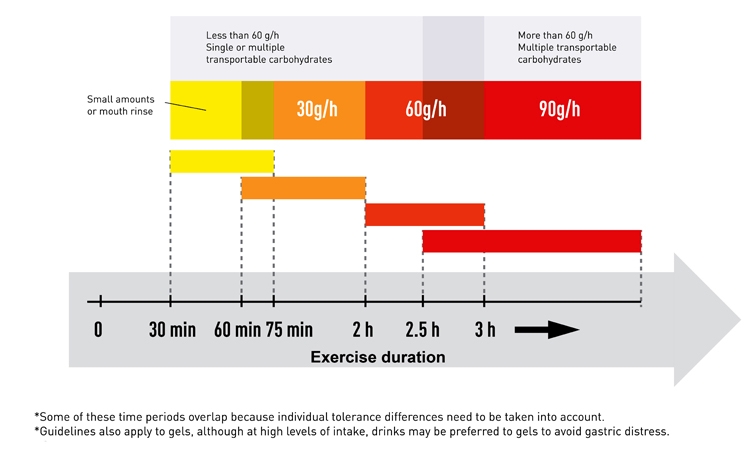 Sports Performance Bulletin - Nutrition for endurance athletes ...