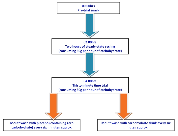 Sports Performance Bulletin - Nutrition - Carbohydrate on the move ...