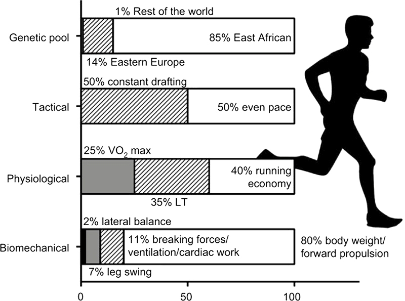 Sports Performance Bulletin - Base endurance training - A sub-2-hour ...