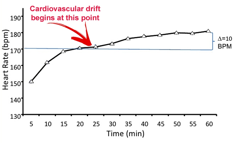 Sports Performance Bulletin - Training structure & planning - Banishing ...