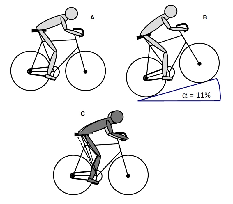 Sports Performance Bulletin - Techniques - In a spin: what all cyclists should know about ...