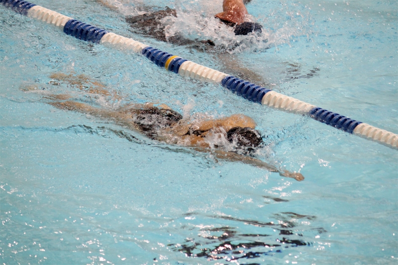 Sports Performance Bulletin - Injuries & health - Swimmer's shoulder ...