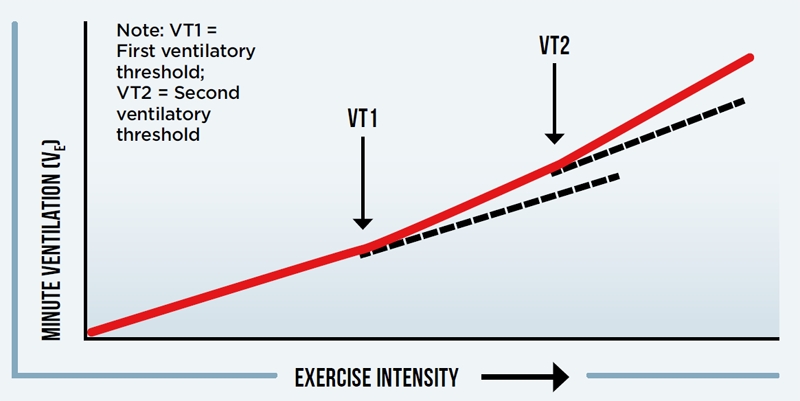 Sports Performance Bulletin - Endurance training - Zone training: why ...