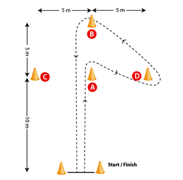 Sports Performance Bulletin - Endurance training - The perfect half ...