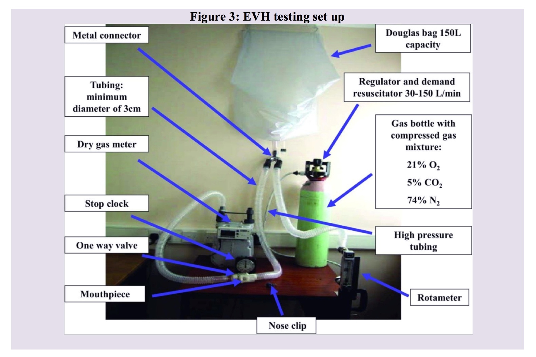 Sports Injury Bulletin - Diagnose & Treat - Exercise-induced ...