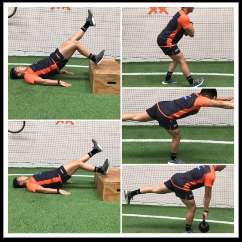 Sports Injury Bulletin - Anatomy - Proximal Hamstring Tendinopathy: A ...