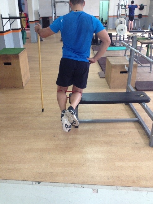 Sports Injury Bulletin - Anatomy - The Gluteus Medius