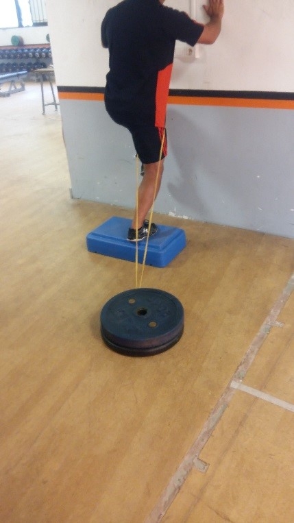 Sports Injury Bulletin - Anatomy - Masterclass: Femoro-acetabular ...