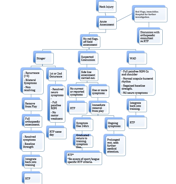 Sports Injury Bulletin - Diagnose & Treat - Neck injury in sport ...