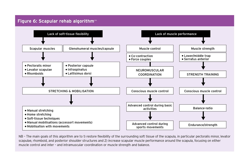 Sports Injury Bulletin - Diagnose & Treat - Scapular dyskinesis and ...