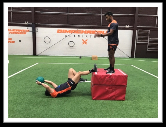 Sports Injury Bulletin - Anatomy - Proximal Hamstring Tendinopathy: A ...