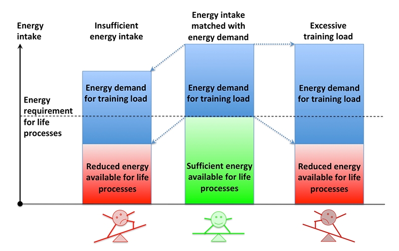 Sports Injury Bulletin - Diagnose & Treat - Relative energy deficiency ...