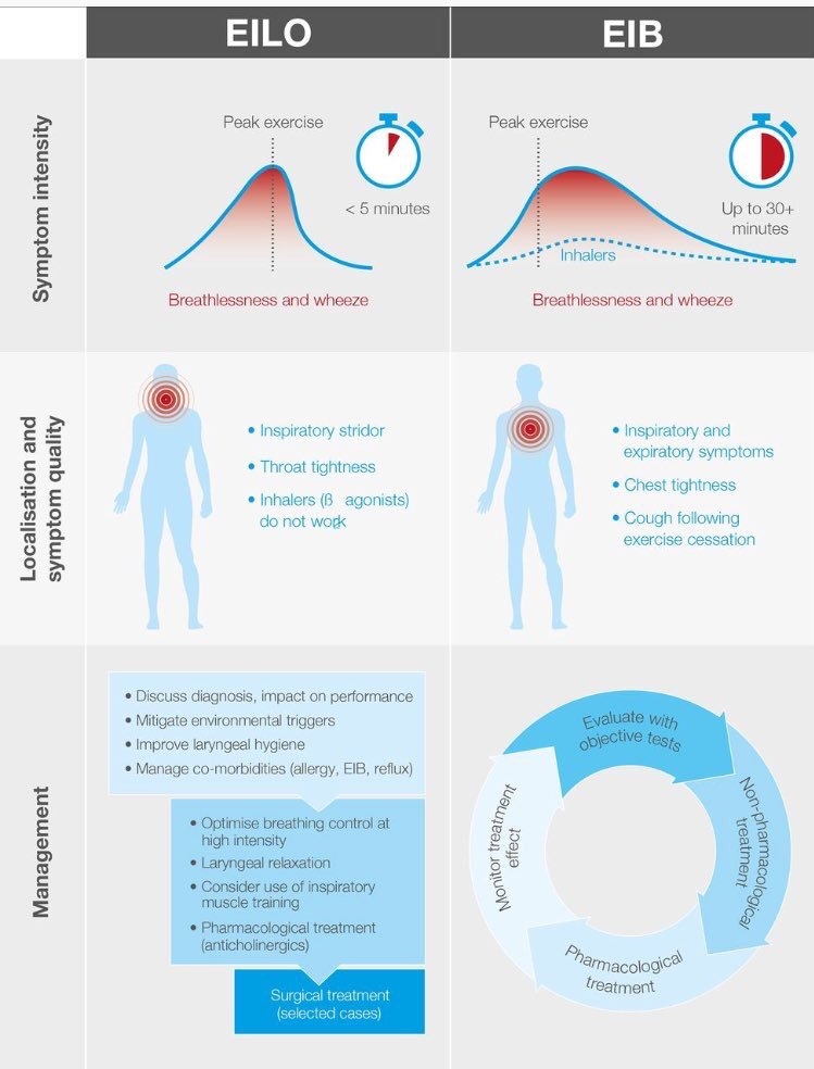 Sports Injury Bulletin - Diagnose & Treat - Identifying exercise ...
