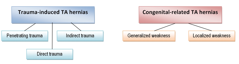 Sports Injury Bulletin - Diagnose & Treat - Tibialis anterior ...