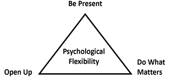 Sports Injury Bulletin - Diagnose & Treat - Rethinking pain ...