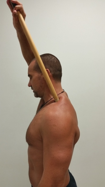 Sports Injury Bulletin - Diagnose & Treat - Upper trapezius: the key to ...