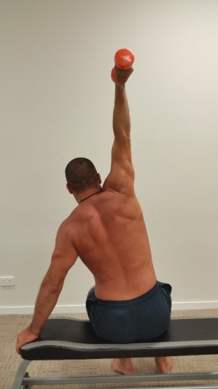 Sports Injury Bulletin - Diagnose & Treat - Upper trapezius: the key to ...