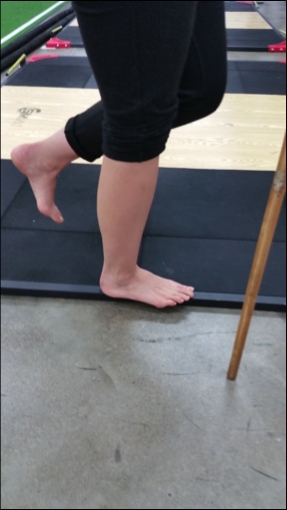 Sports Injury Bulletin - Improve - Masterclass ankle instability Part ...