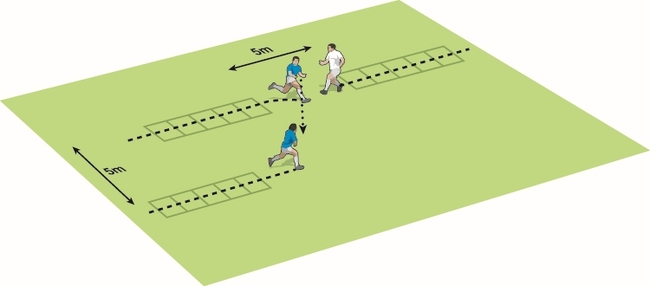 Ladder attack decisions - Rugby Footwork & Agility Drills - Rugby Coach ...