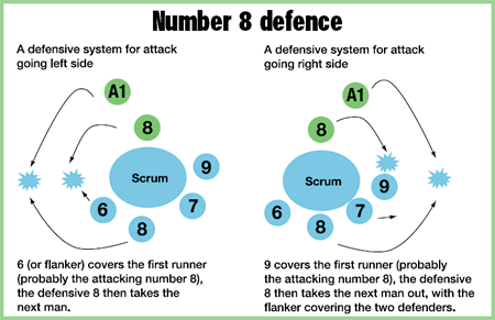 Leadership potential for the number eight role - Team Management ...