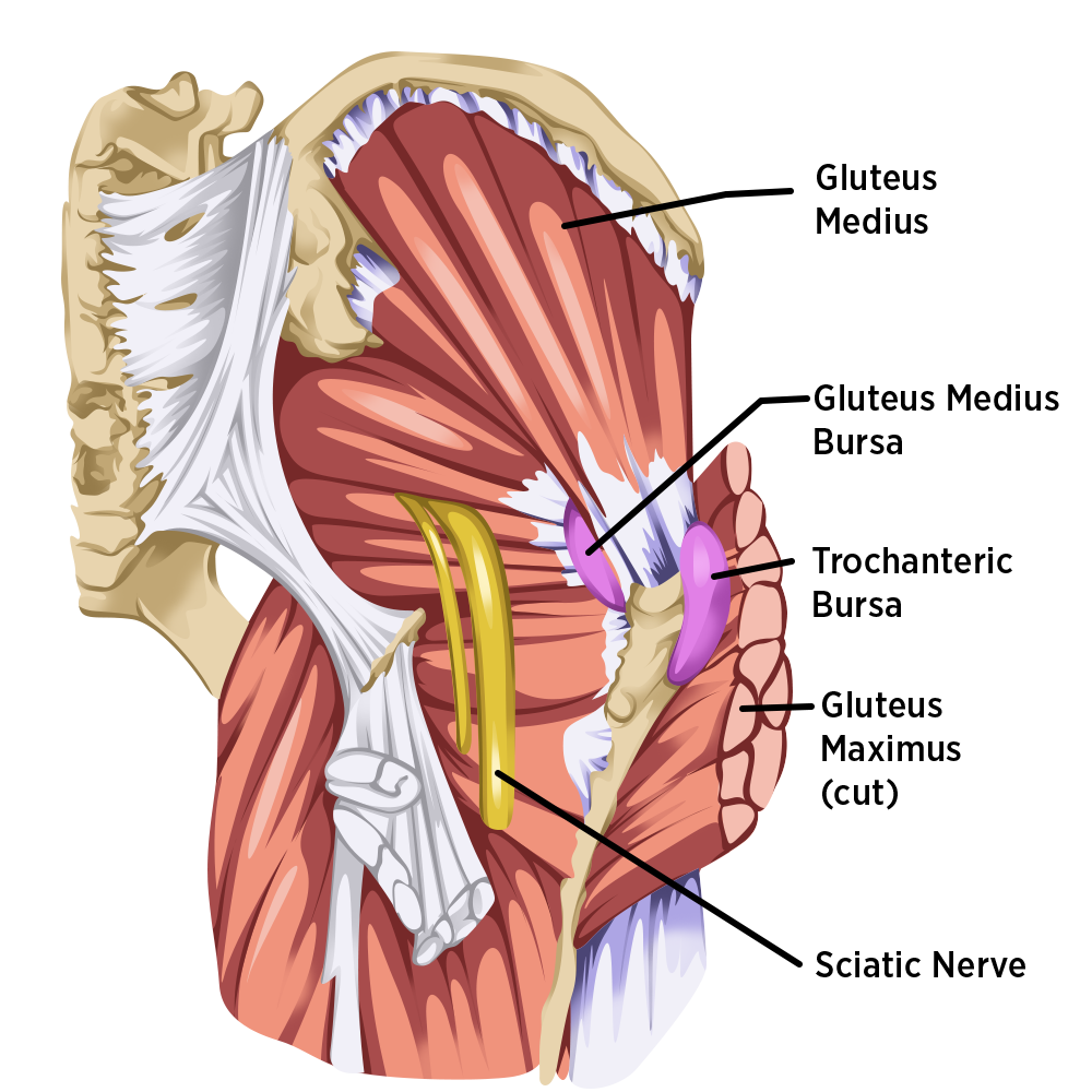 Sports Injury Bulletin Hip Injuries Greater Trochanteric Pain