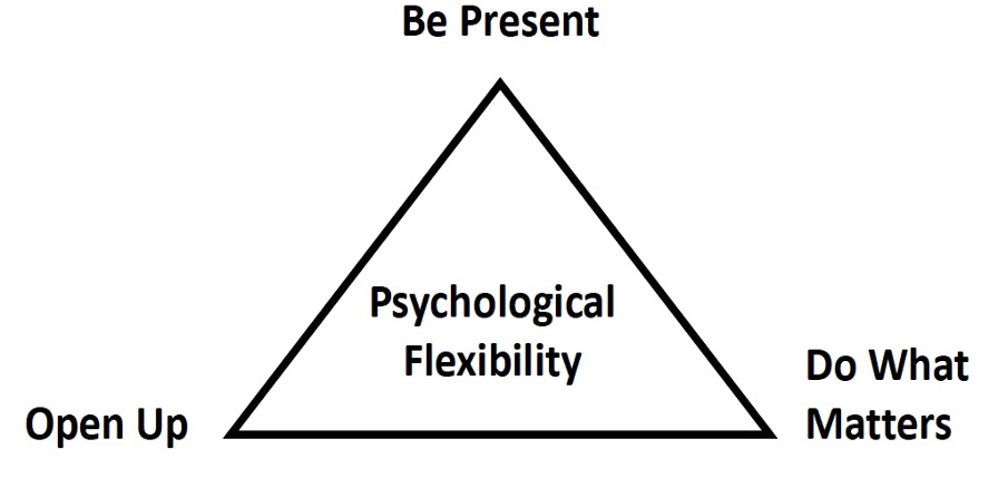 Sports Injury Bulletin - Diagnose & Treat - Psychological Flexibility ...