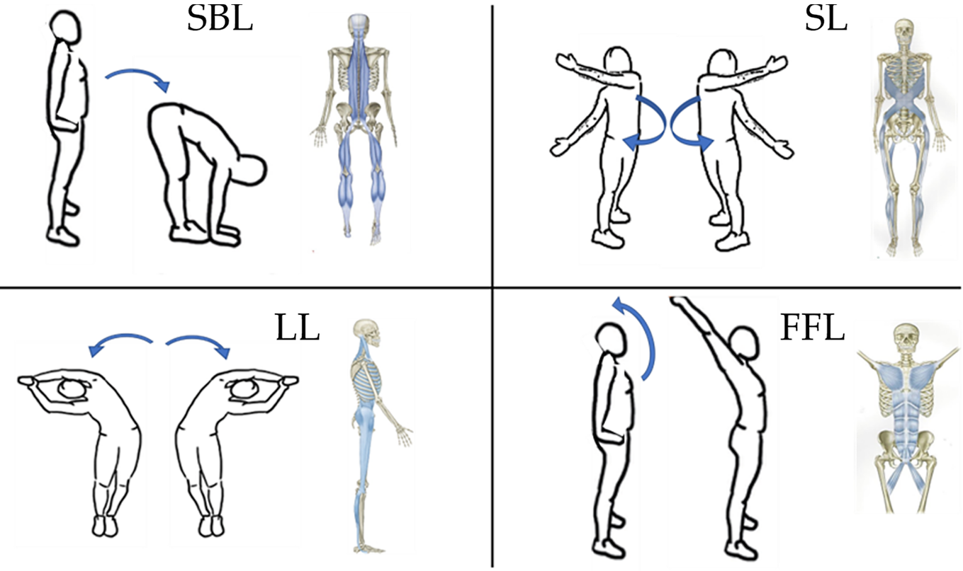Sports Performance Bulletin - Strength conditioning & flexibility ...